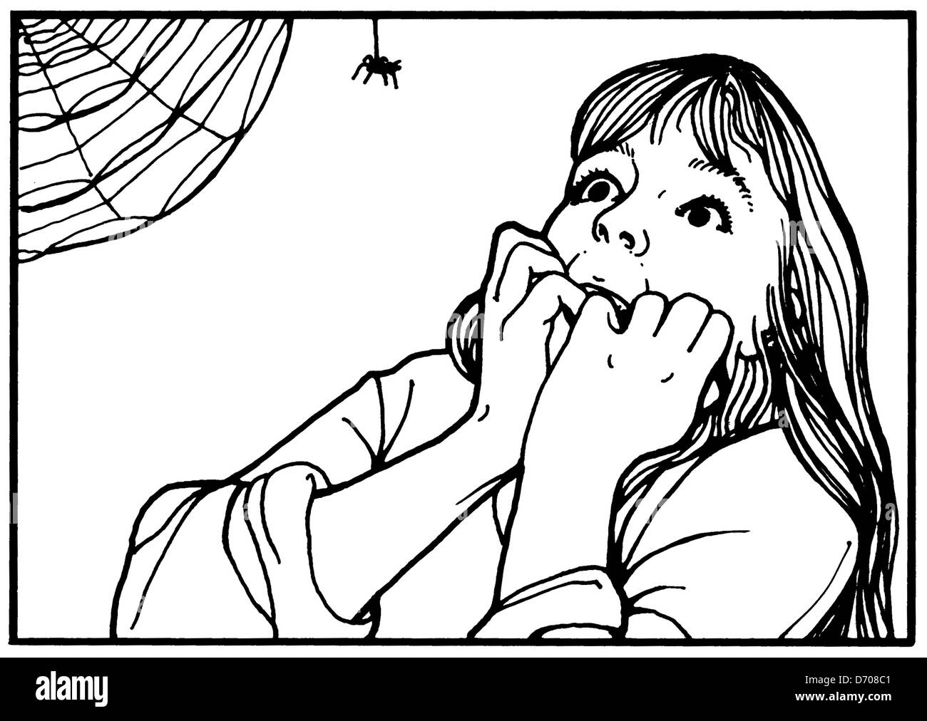 Spiders are not insects Black and White Stock Photos & Images - Alamy