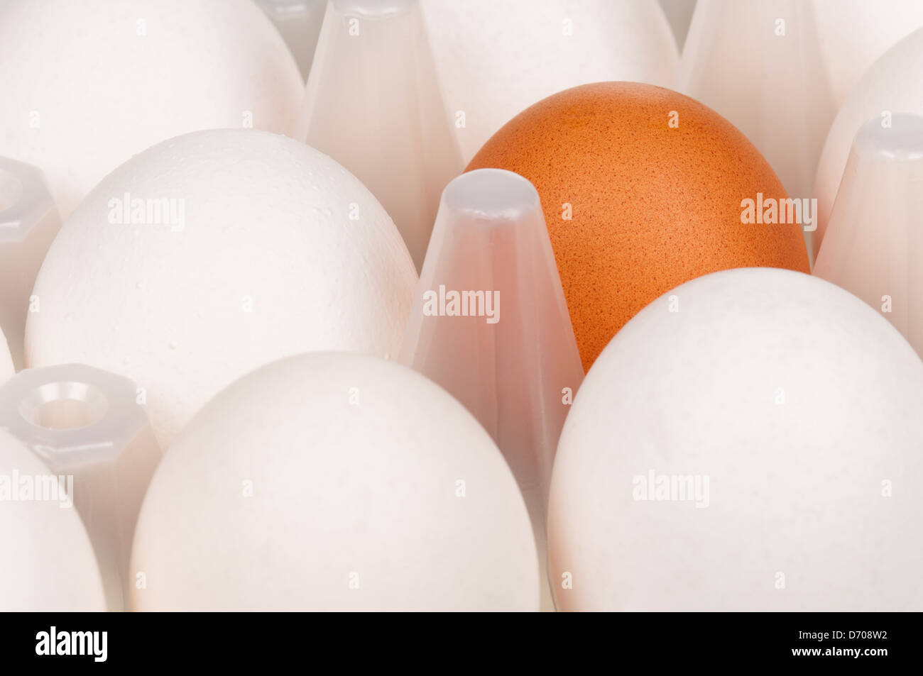 Eggs in box Stock Photo - Alamy