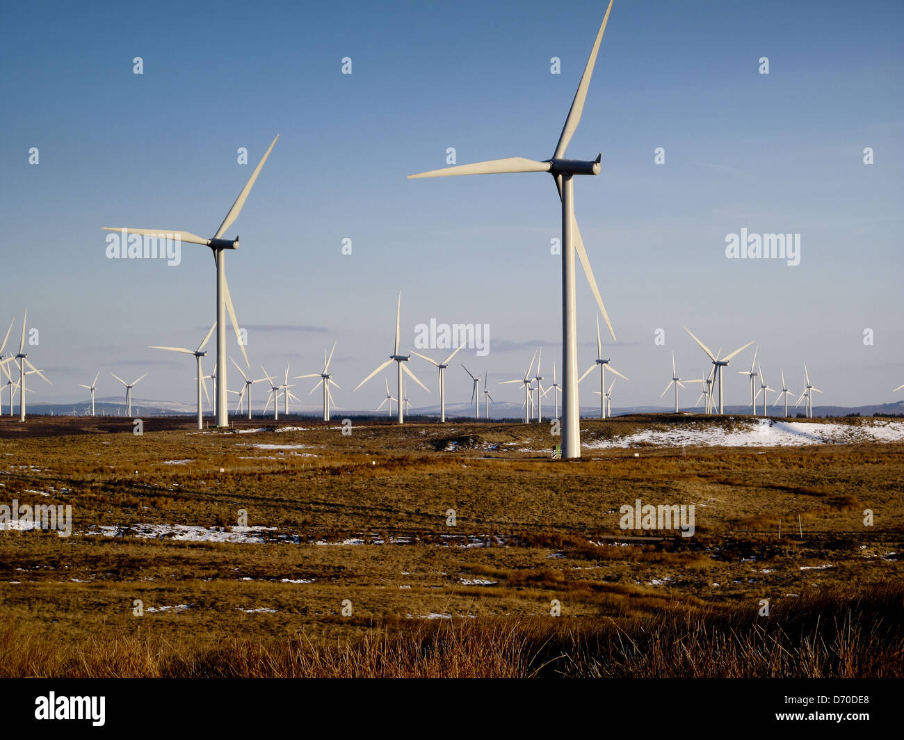Wind turbines Whitelee Wind Farm Stock Photo - Alamy