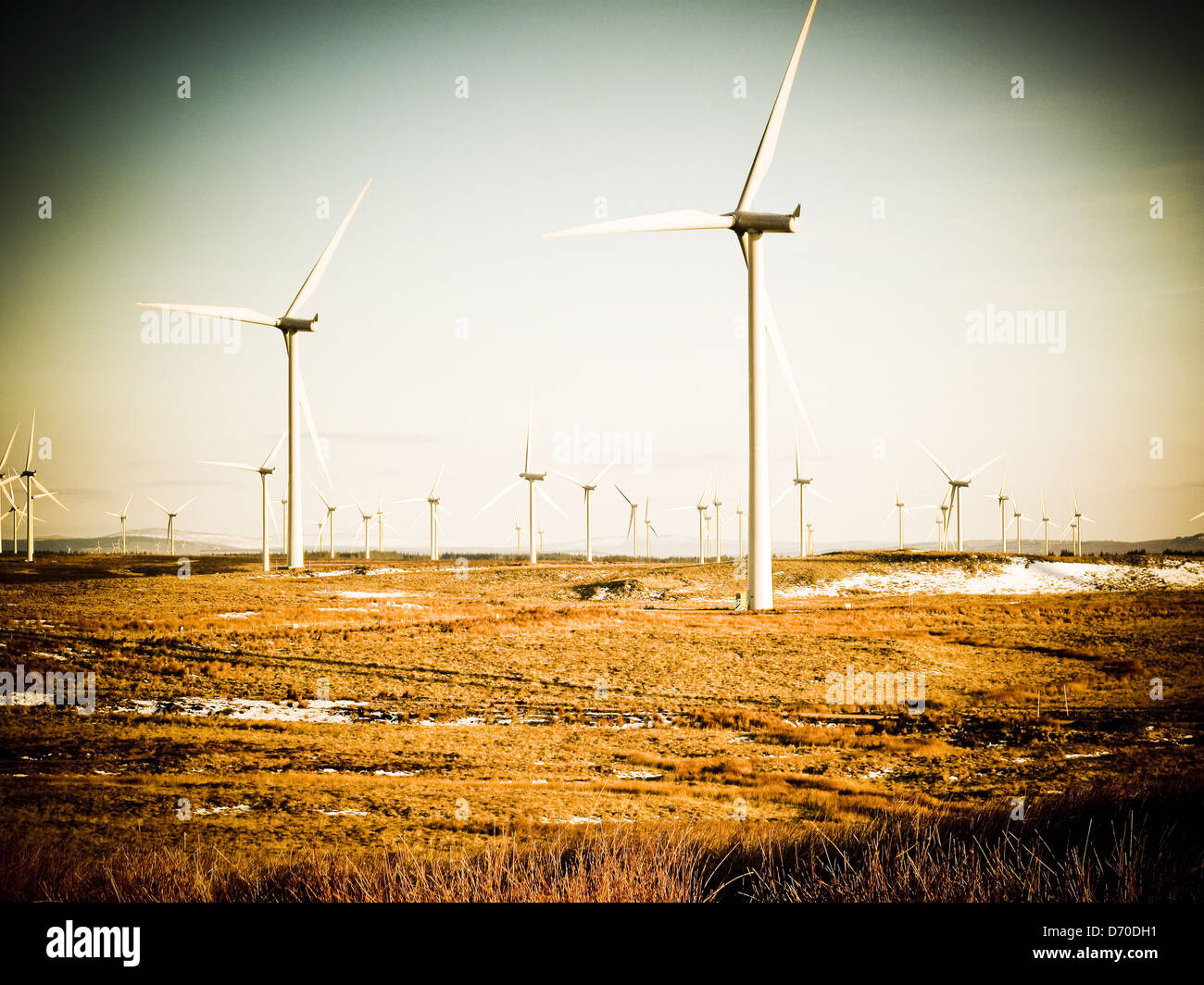 Wind turbines Whitelee Wind Farm Stock Photo - Alamy