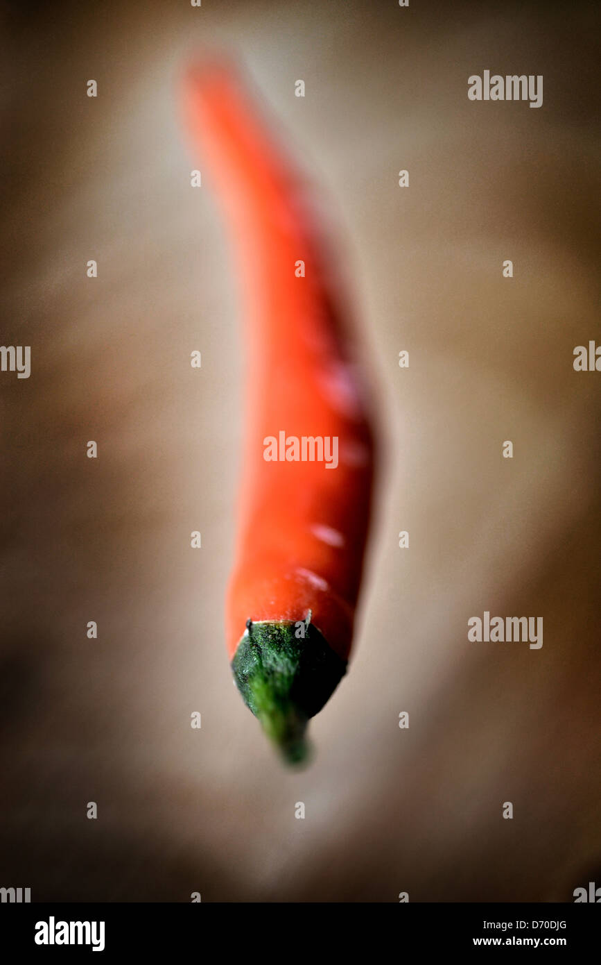 Single Red Chilli High Resolution Stock Photography and Images - Alamy
