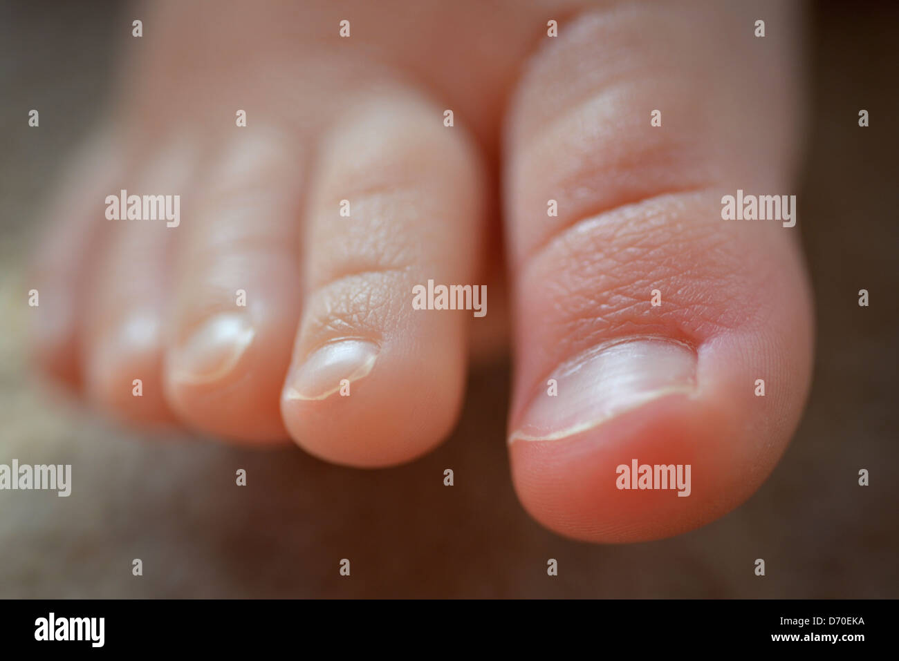 Toddlers toes hi-res stock photography and images - Alamy