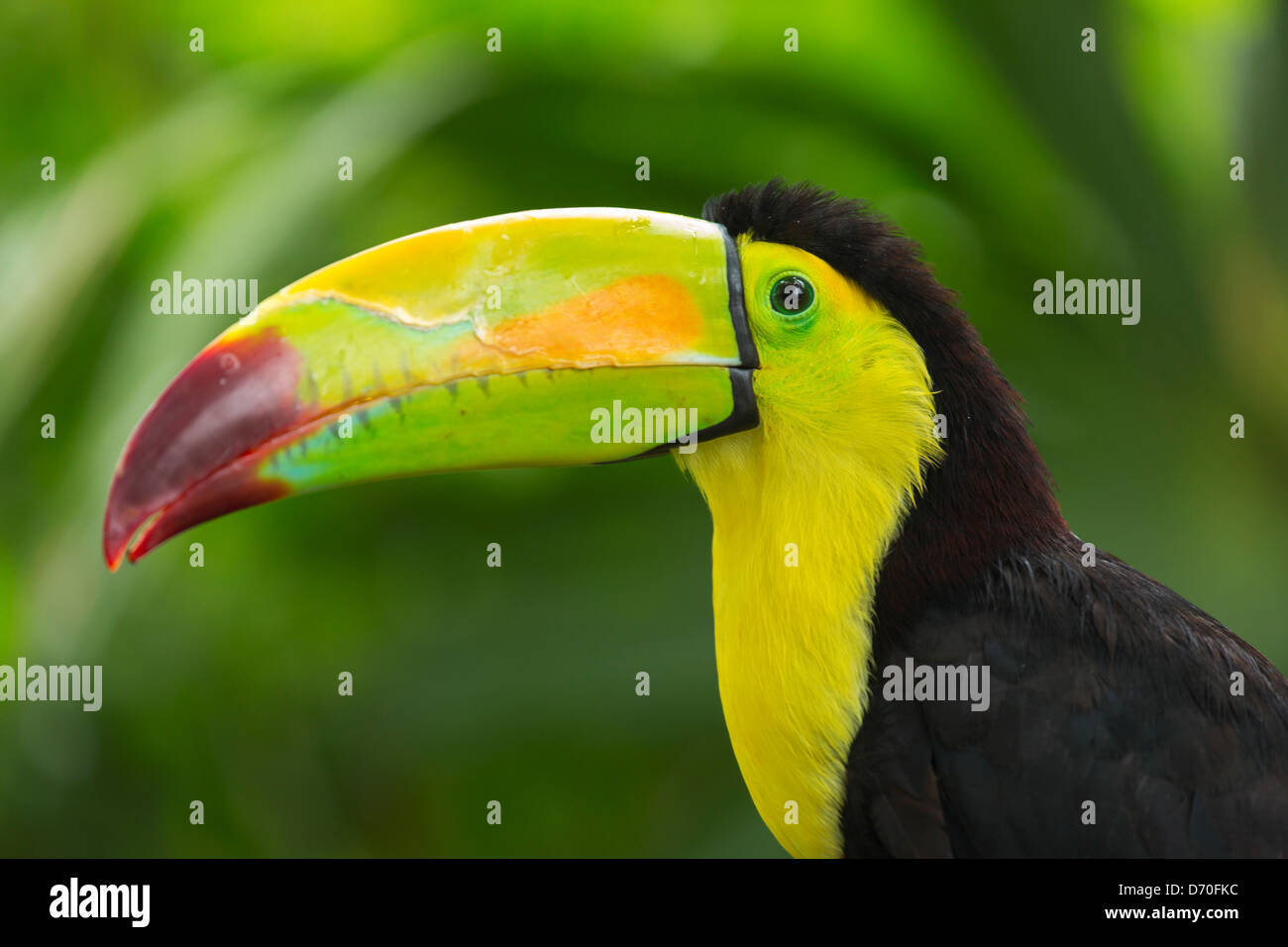 Horizontal close up keel hi-res stock photography and images - Alamy