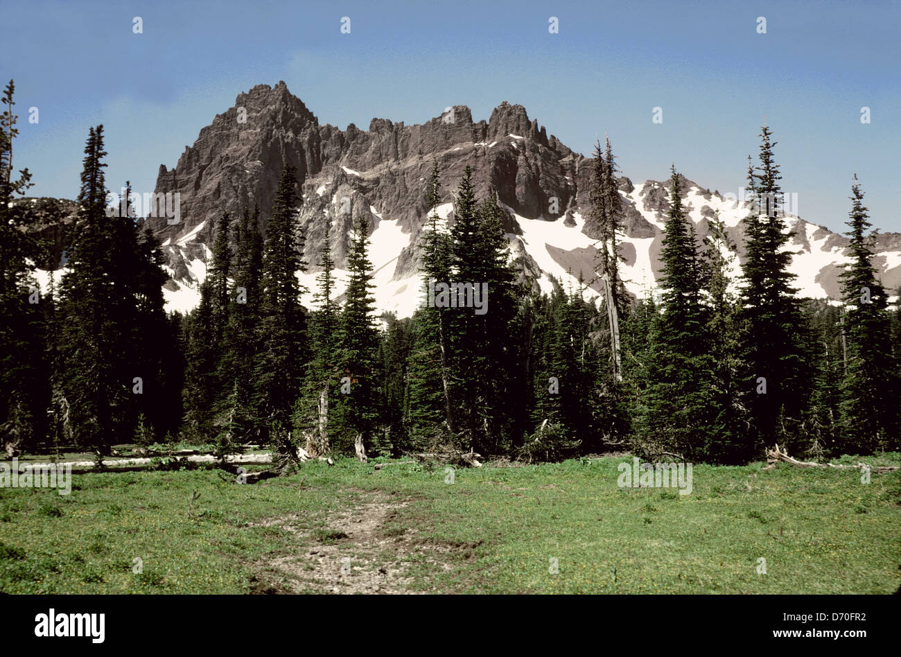 TFJack73 three-fingered jack july1973 Stock Photo - Alamy