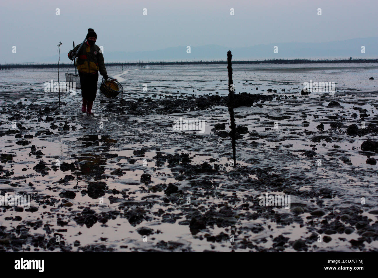 Woman oyster beauty hi-res stock photography and images - Alamy