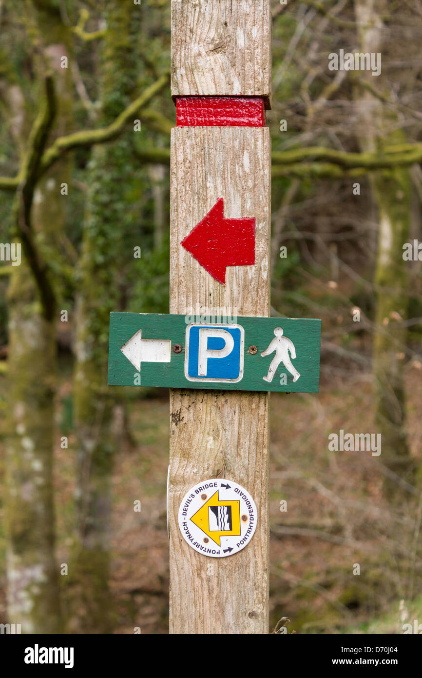 Hafod forest wales hi-res stock photography and images - Alamy