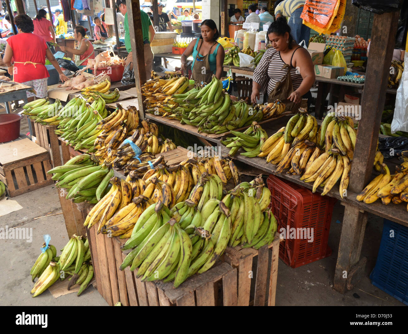 Bananas and other fruit for sale on a market stall in Iquitos, Peruvian ...
