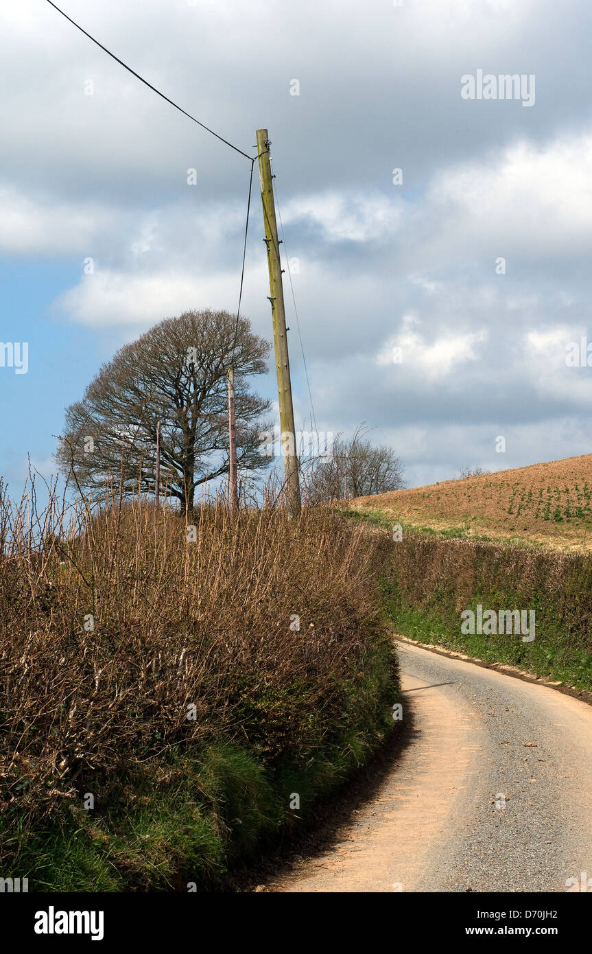 Devon lane, agricultural, agriculture, country, countryside, crop ...