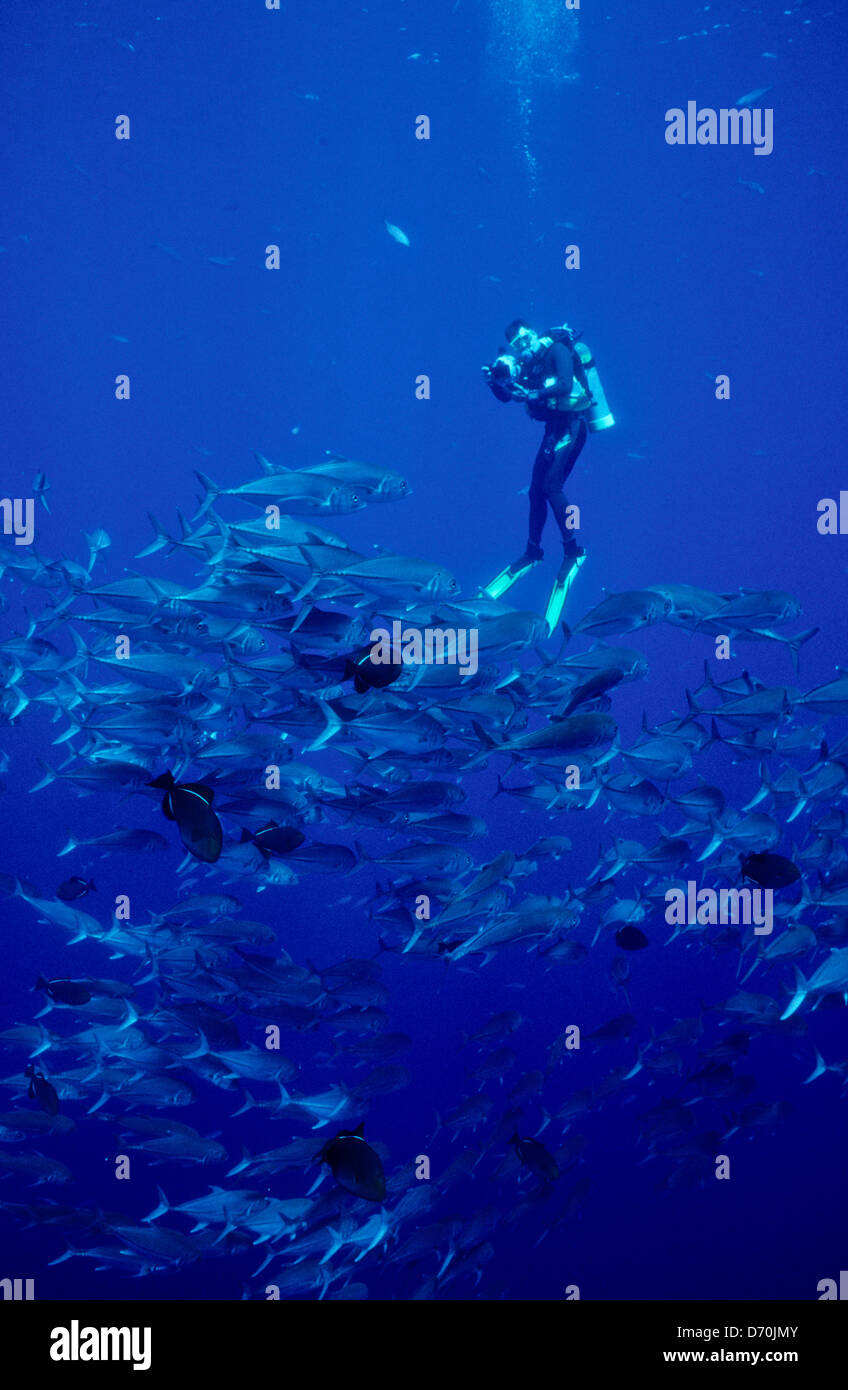 Scuba Diving,Cocos Island July-1998 Digital underwater Slides ...