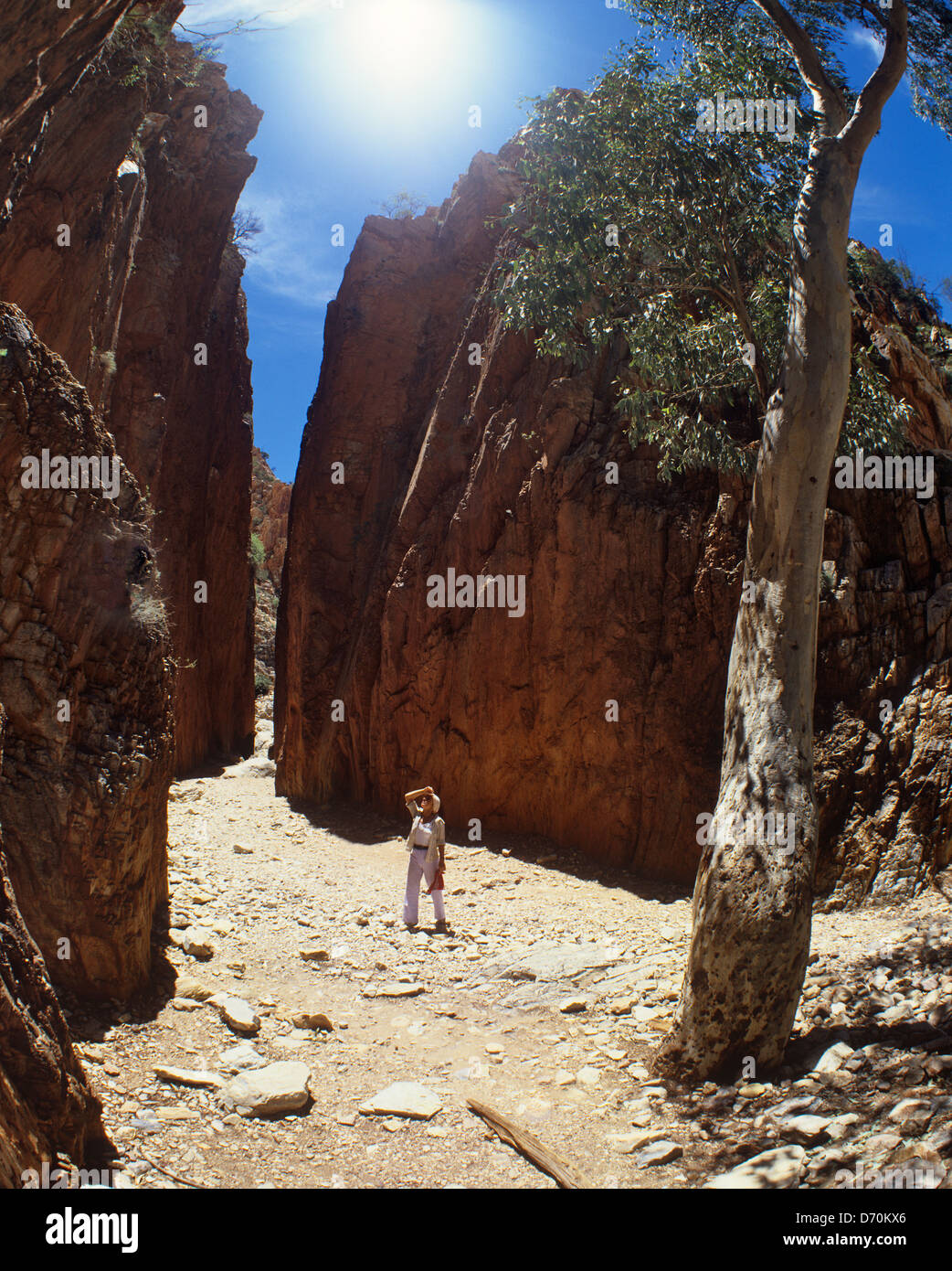 Australia, Northern Territory, Standley Chasm in the MacDonnell Ranges ...