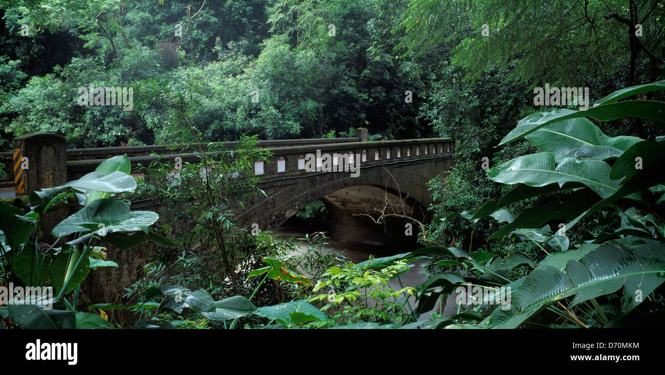 Hawaii. Stone road bridge in state forest Stock Photo - Alamy