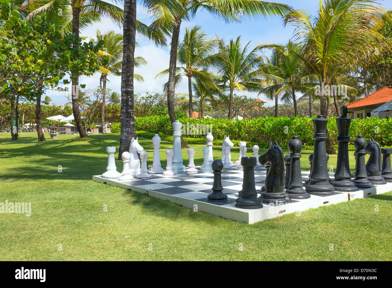 Large outdoor chess board on the grass Stock Photo - Alamy