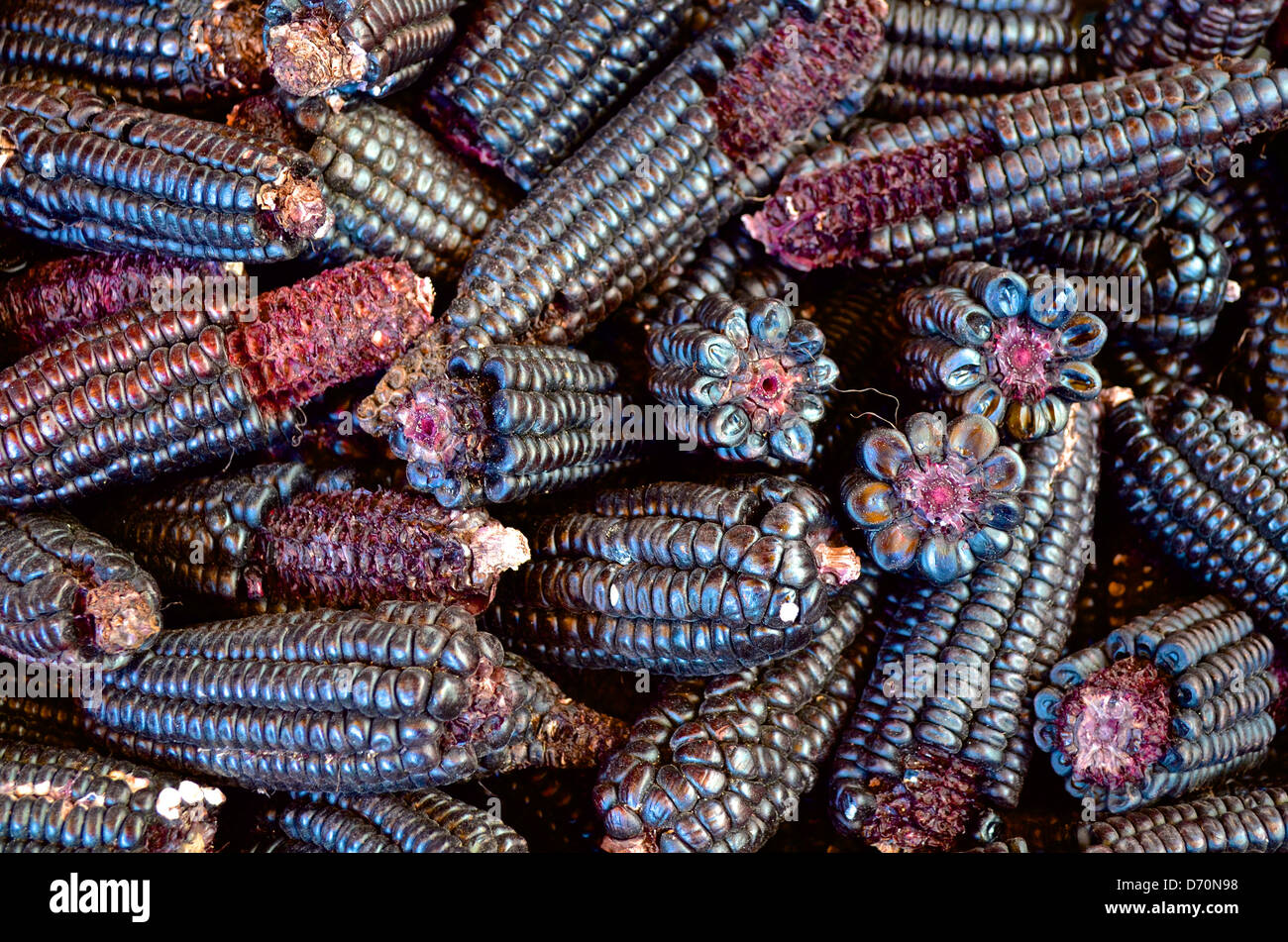 Purple corn in Peru Stock Photo - Alamy