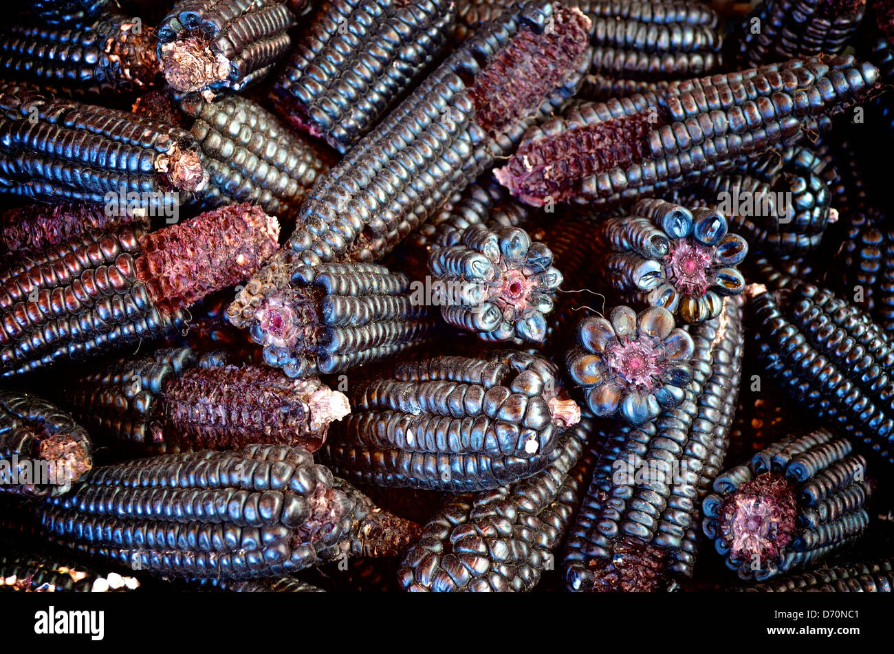 Purple corn hi-res stock photography and images - Alamy