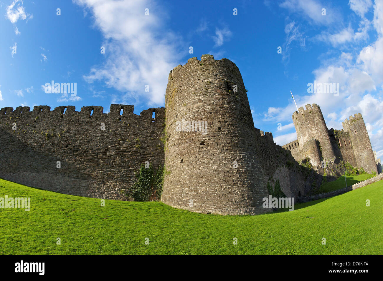 UK, North Wales, Gwynned, Conwy medieval castle and fortified town ...