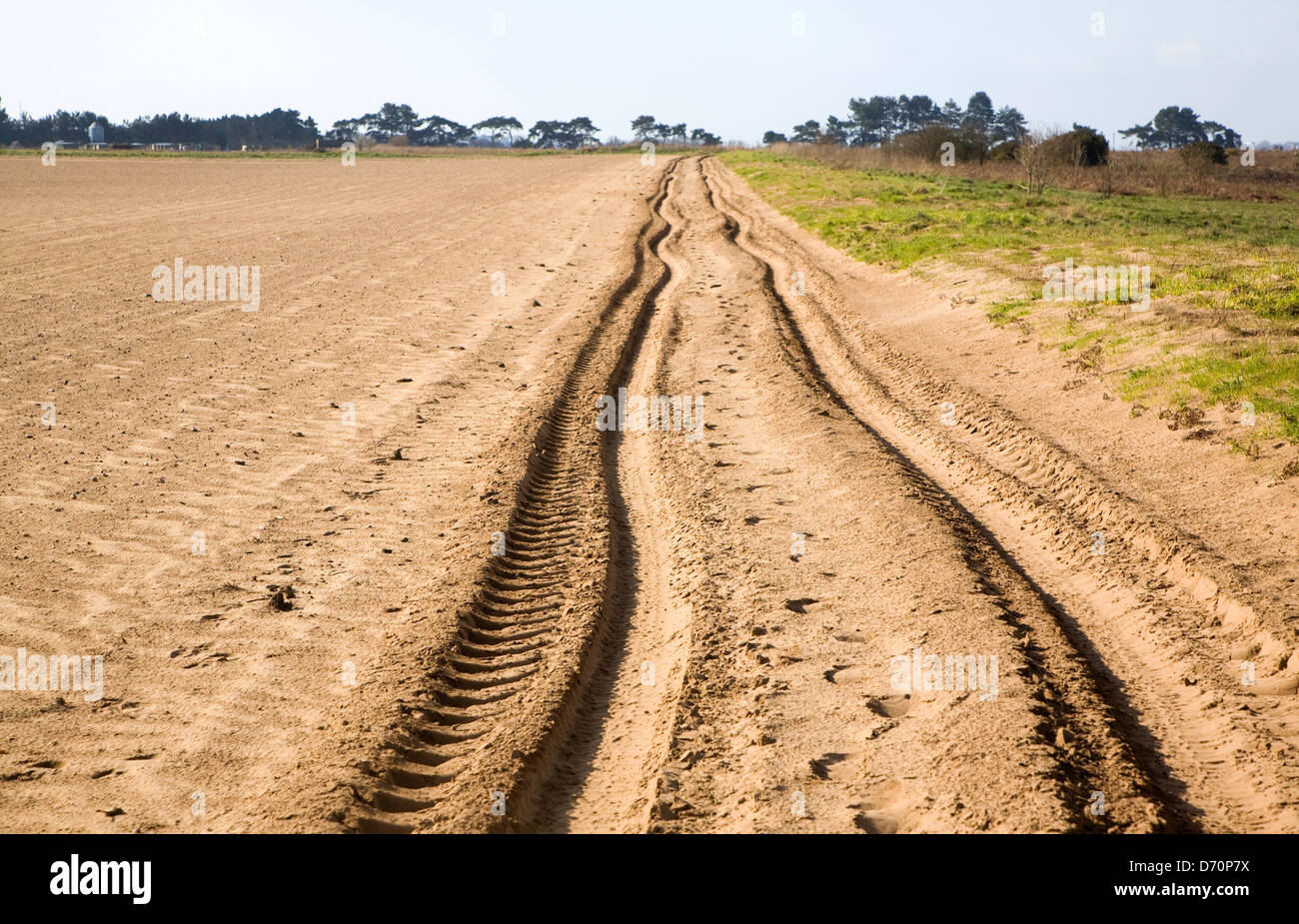 Sandy fields hi-res stock photography and images - Alamy