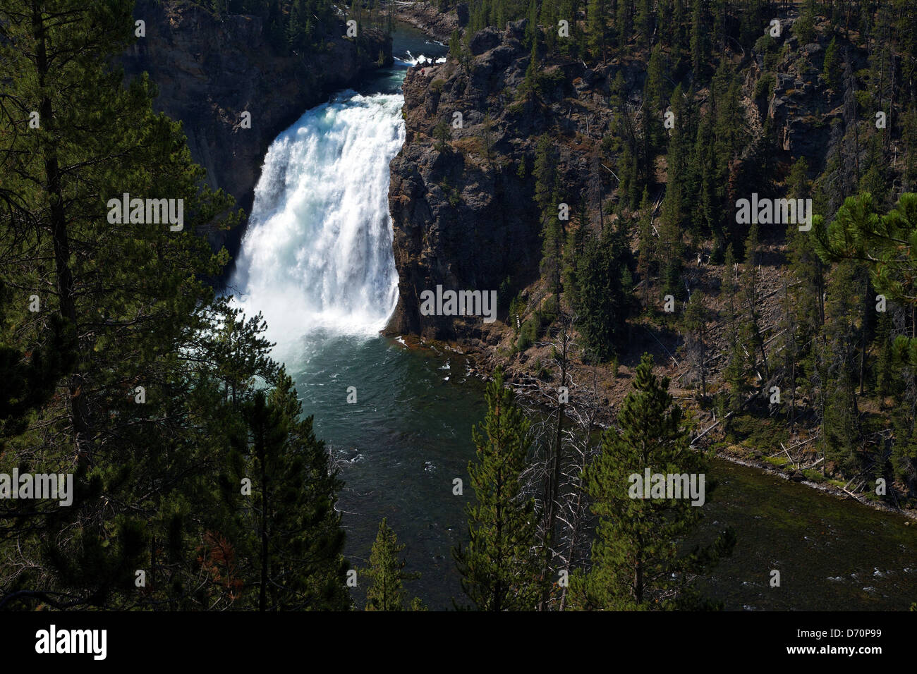 USA, Wyoming, Yellowstone National Park, View of Upper Falls Stock ...