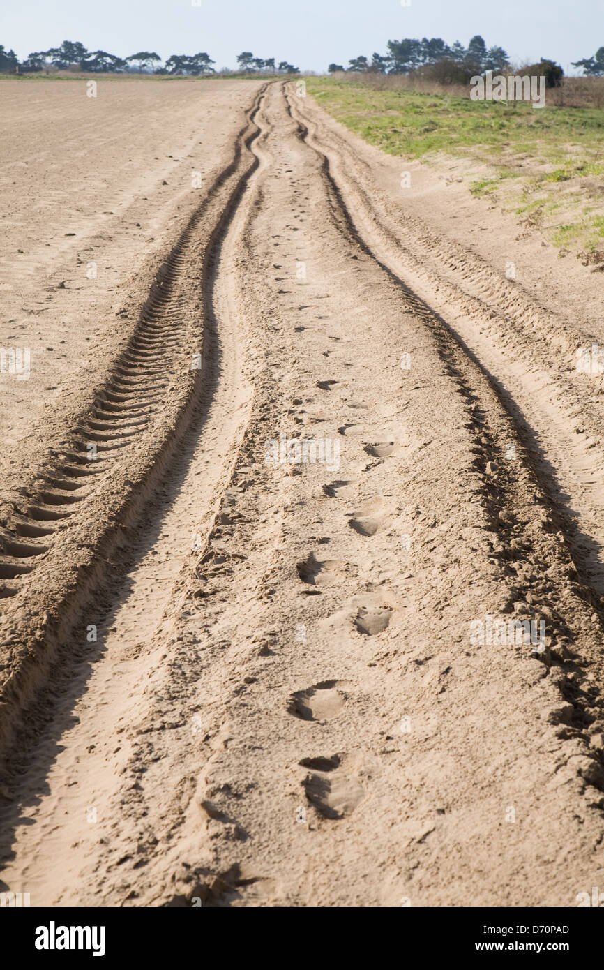 Track crossing hi-res stock photography and images - Alamy