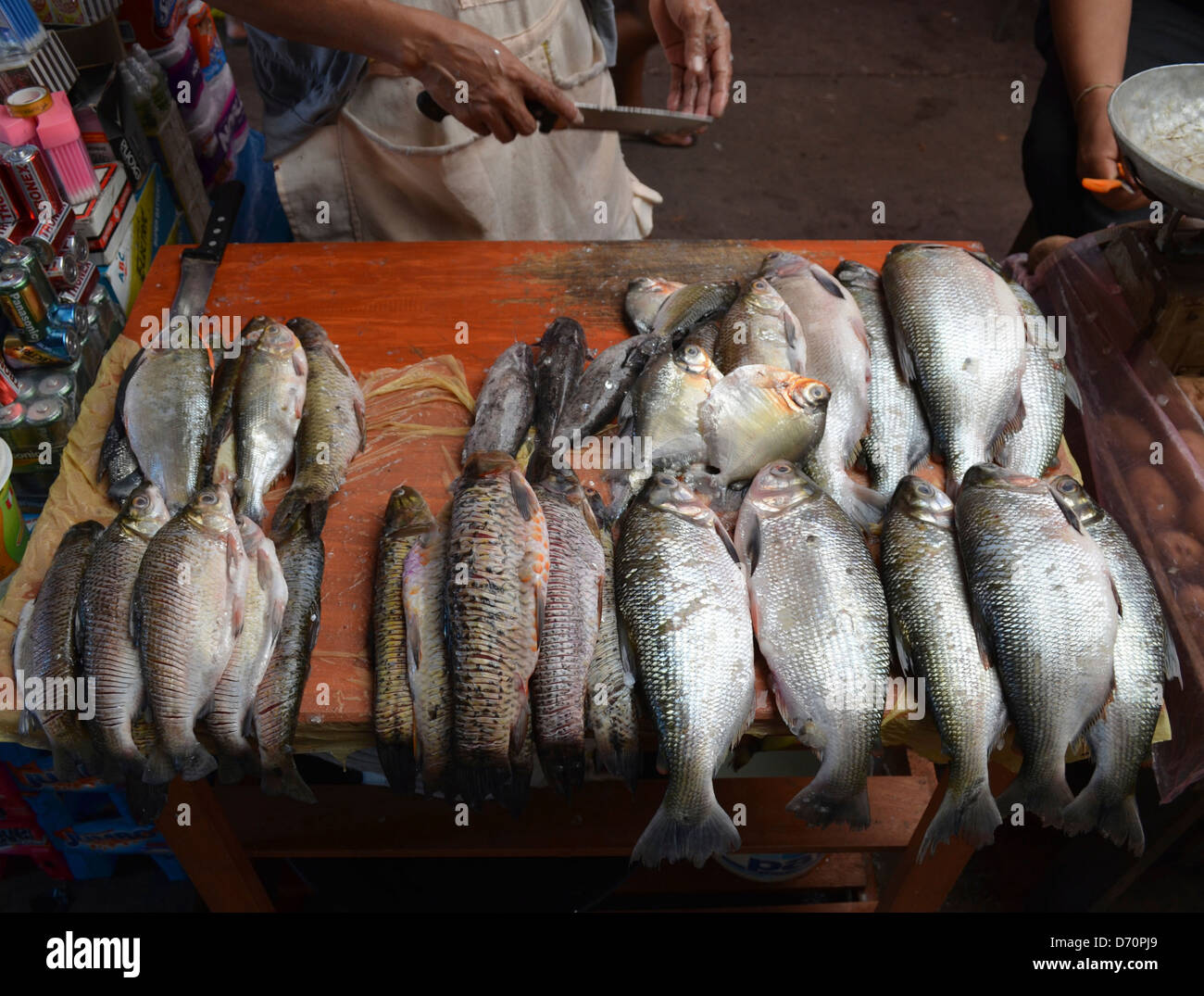 Freshwater fish on sale on a market in Iquitos, Peruvian Amazon Stock ...