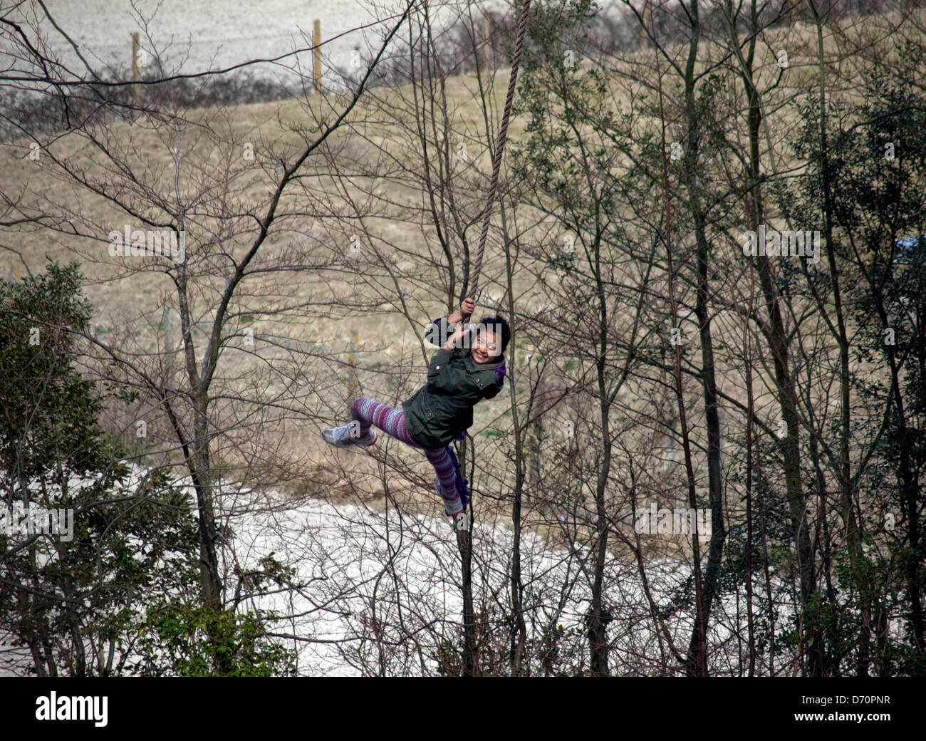 Having fun on a rope swing in a forest Stock Photo - Alamy