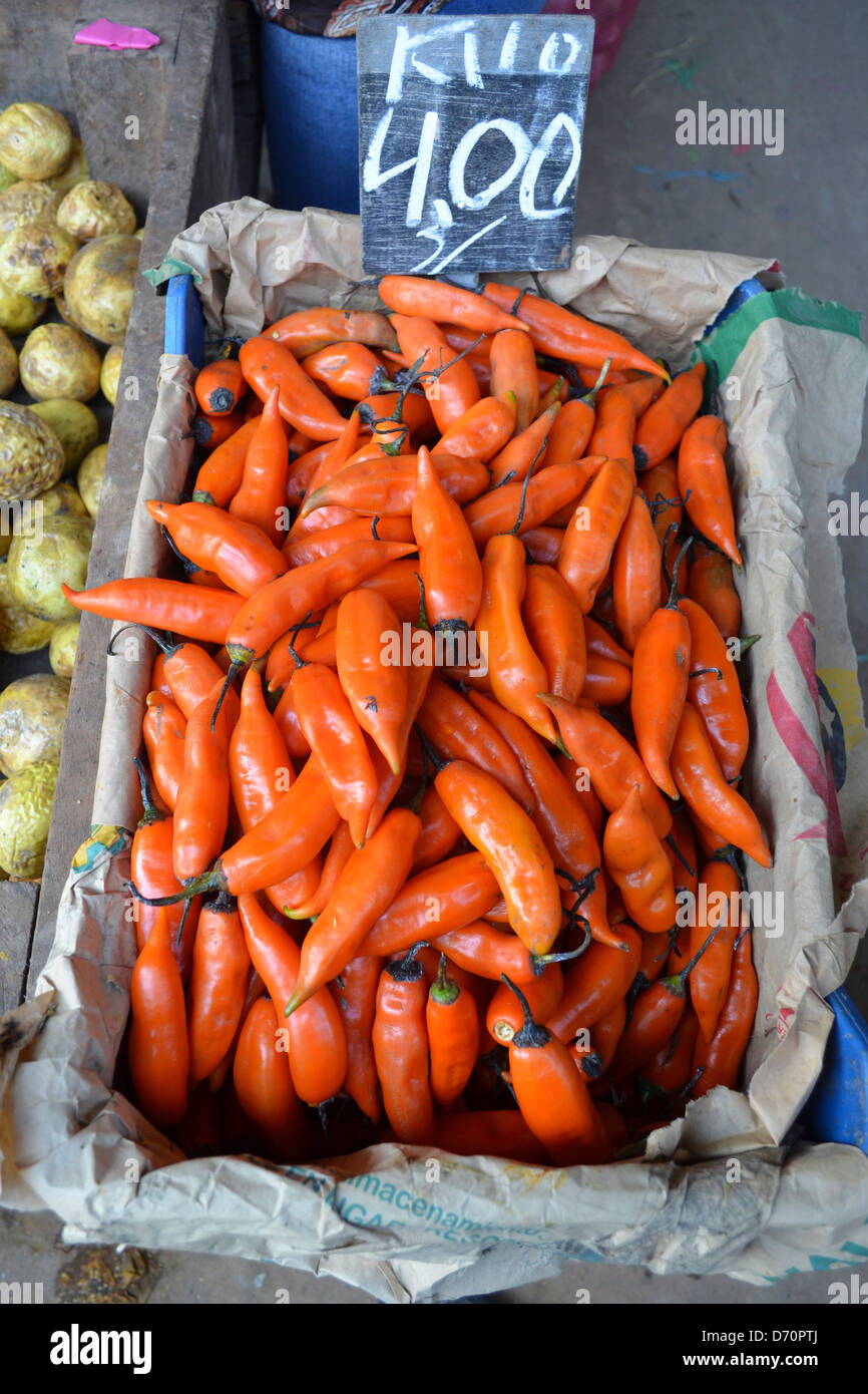 Aji chilli hi-res stock photography and images - Alamy