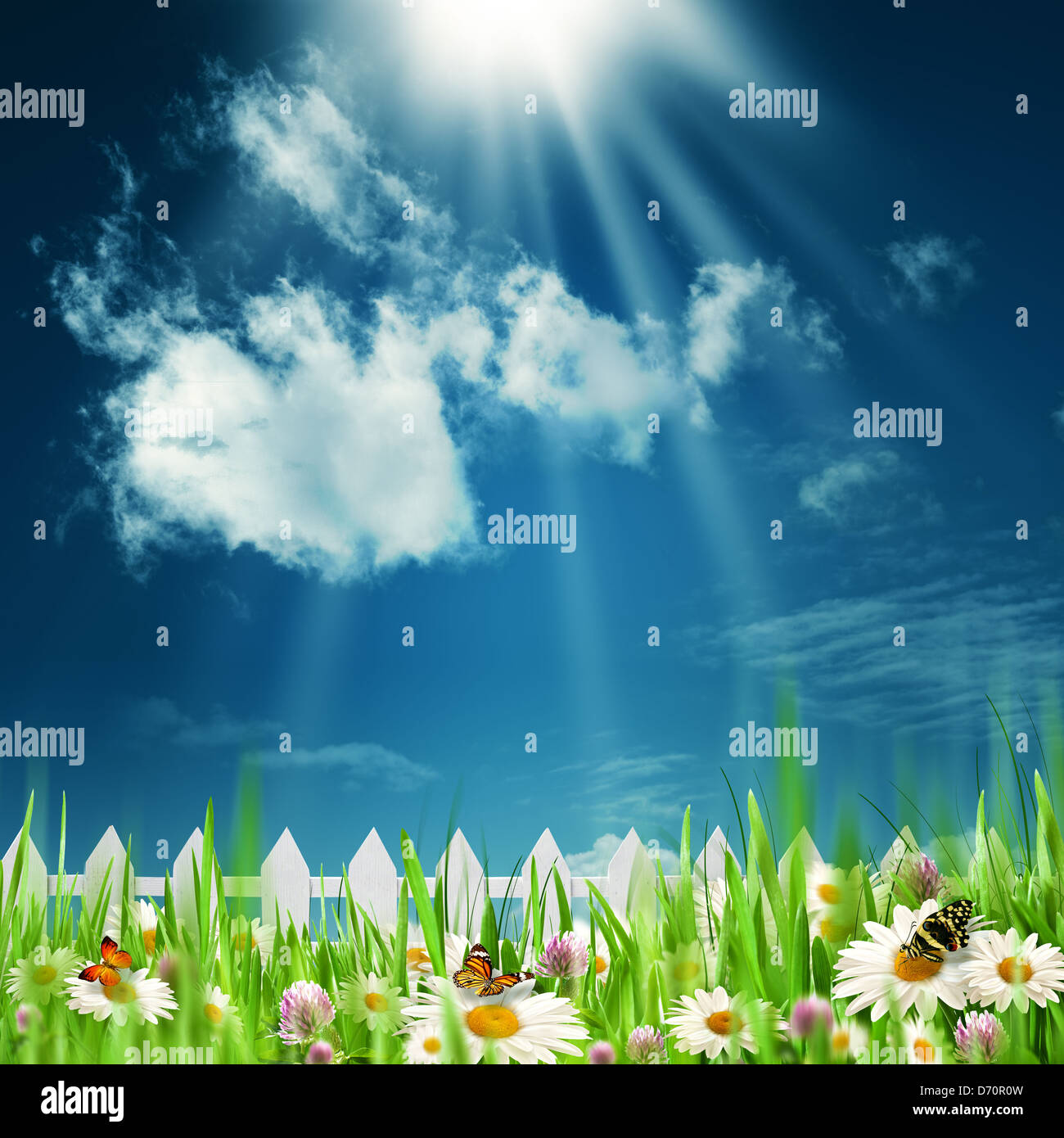 farming, abstract natural backgrounds with beauty flowers Stock Photo ...