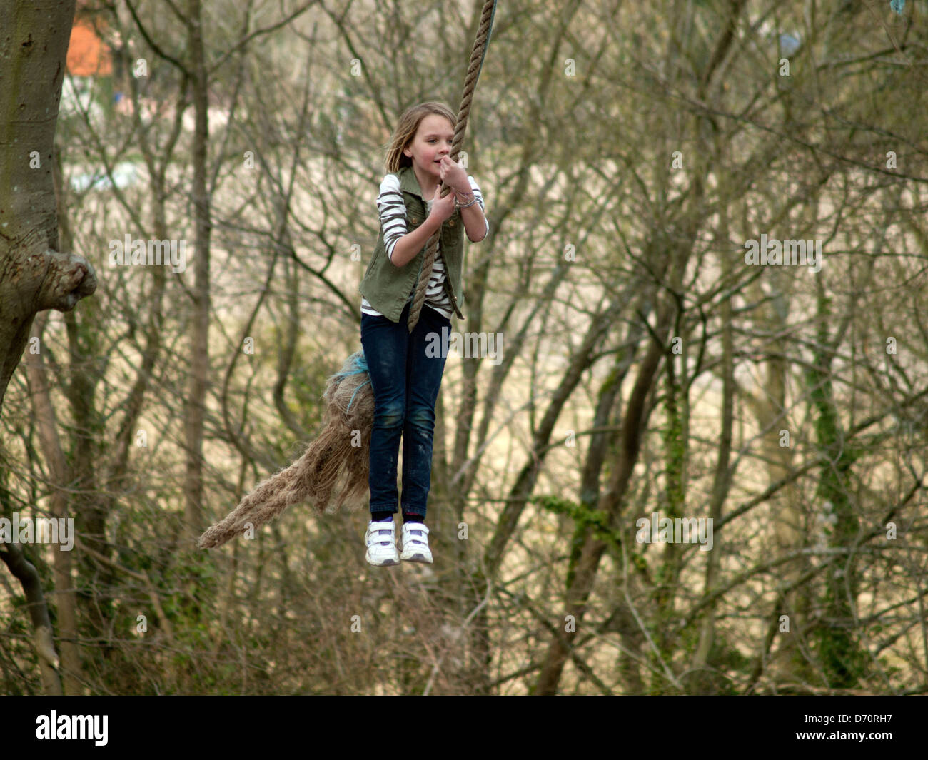 Having fun on a rope swing in a forest Stock Photo - Alamy