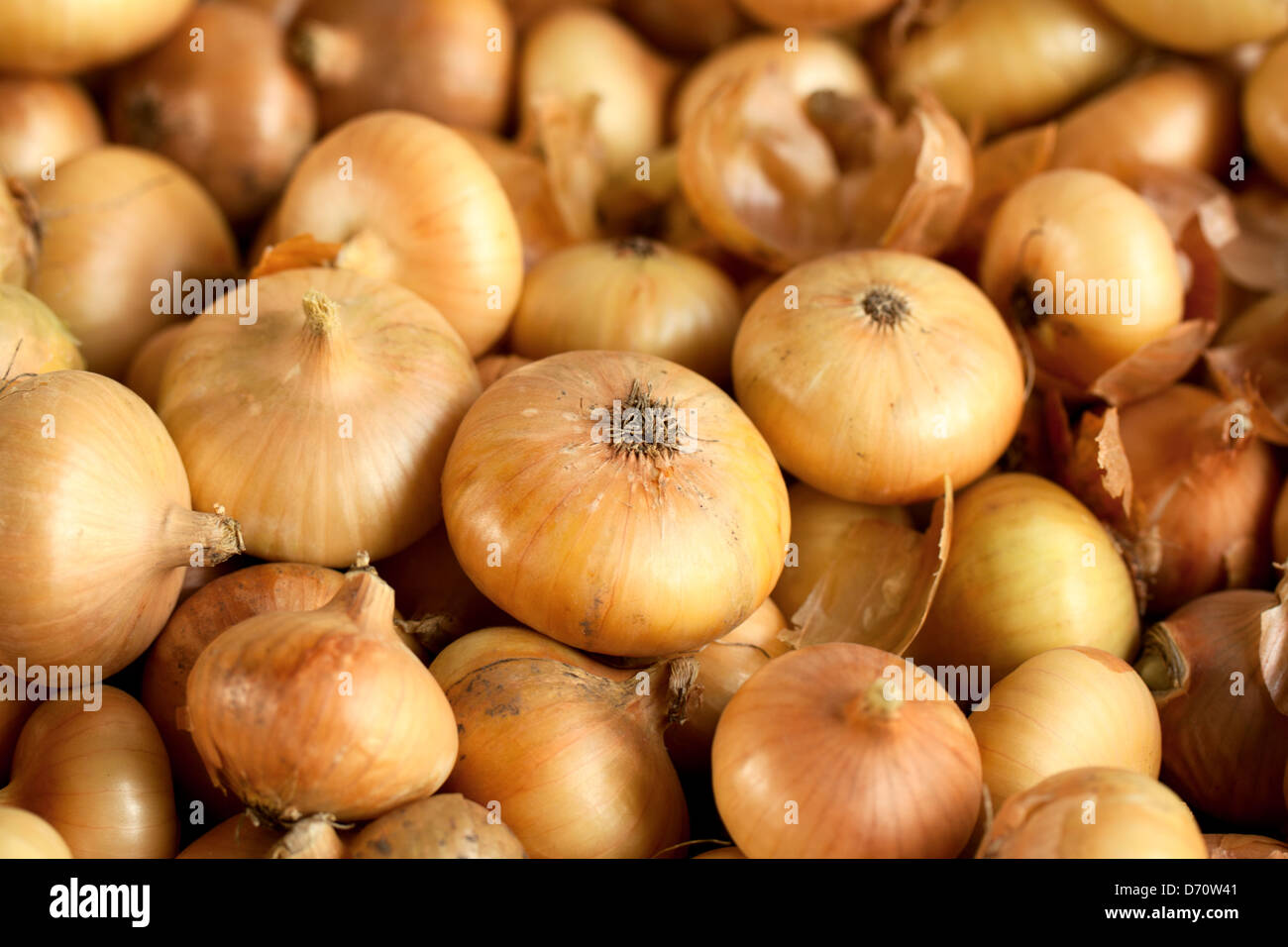 onion background close-up studio shot Stock Photo - Alamy