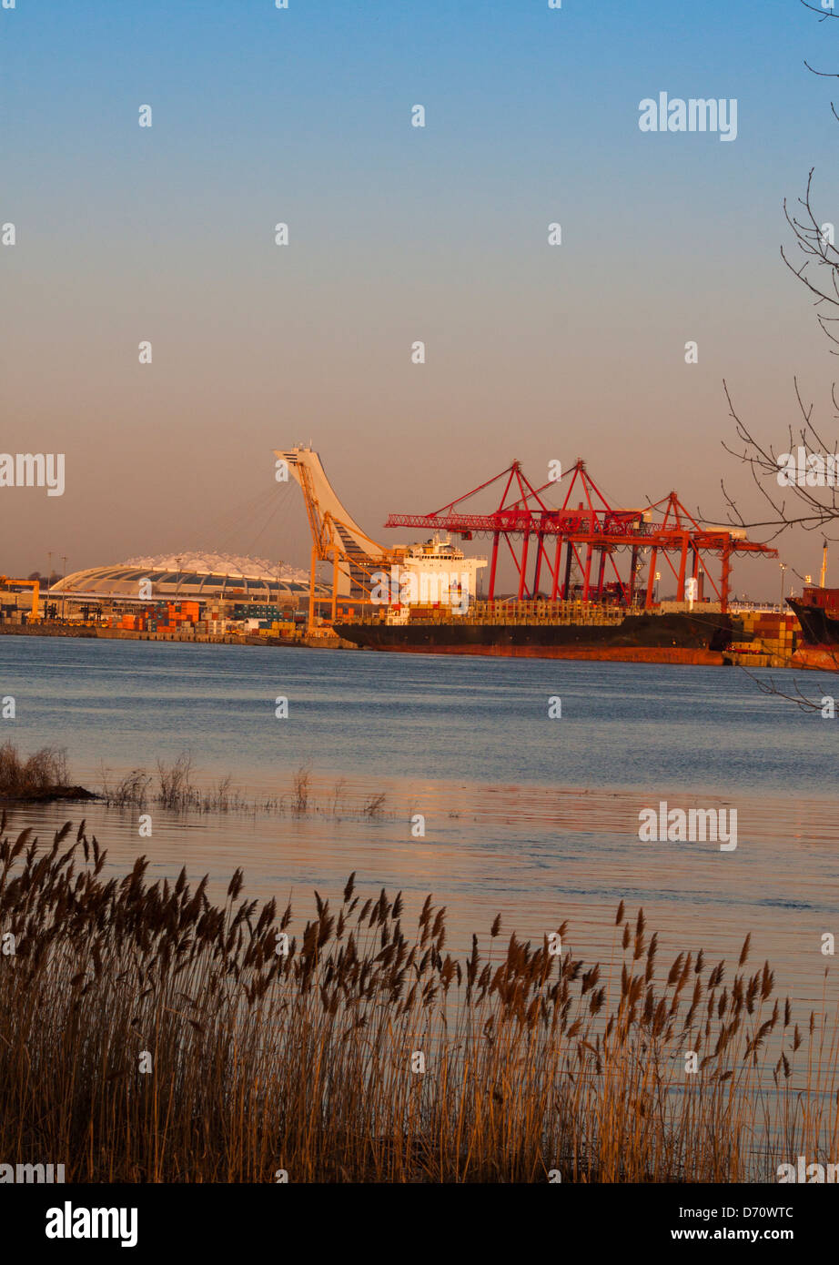 Morning stadium hi-res stock photography and images - Alamy