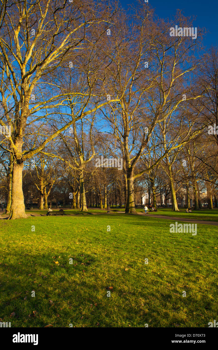 England, London, Green Park. Late afternoon light illuminates Green ...