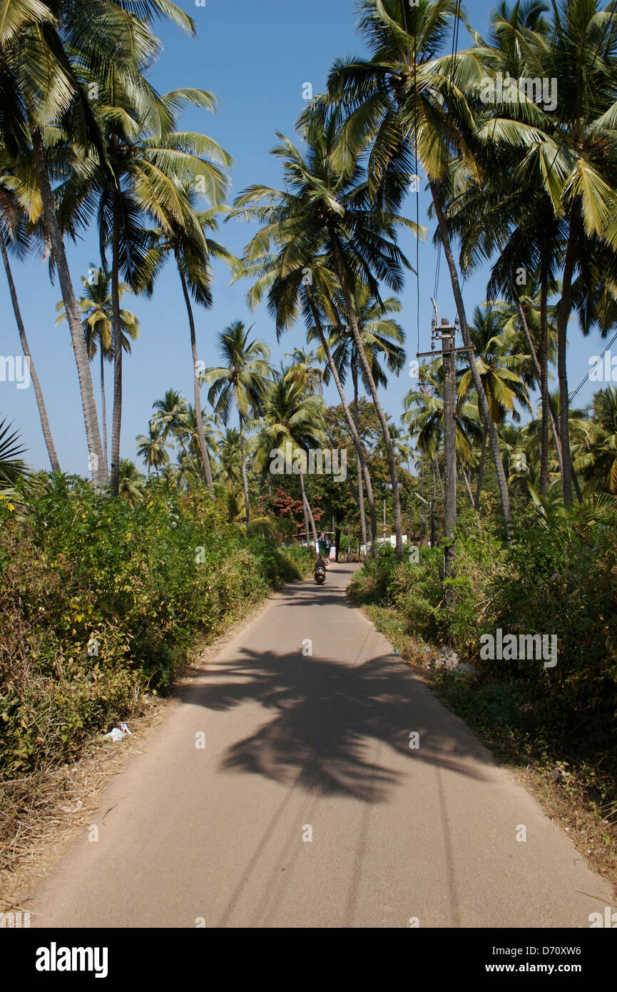India beach road hi-res stock photography and images - Alamy
