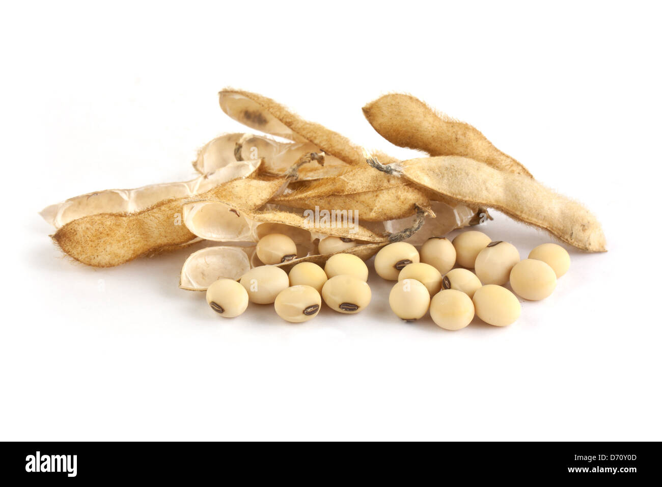 Soy pods isolated on white background Stock Photo - Alamy