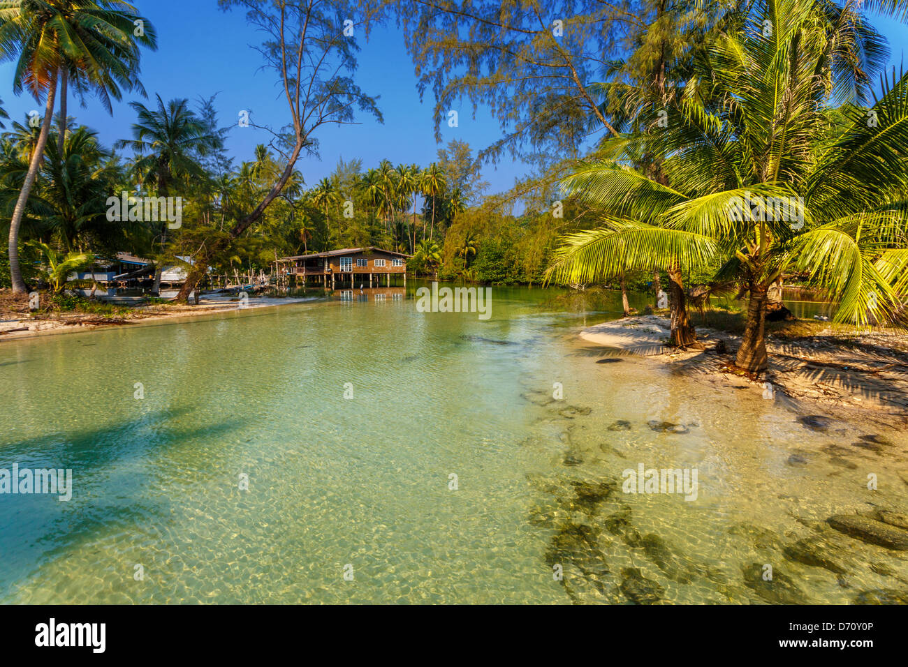 Tropic house hi-res stock photography and images - Alamy