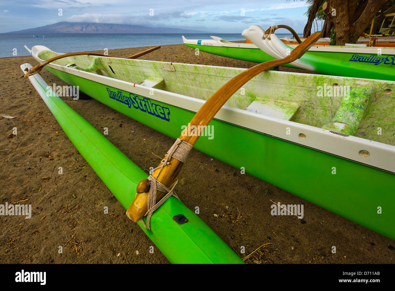Outrigger canoe on the beach, Maui, Hawaii, USA Stock Photo - Alamy