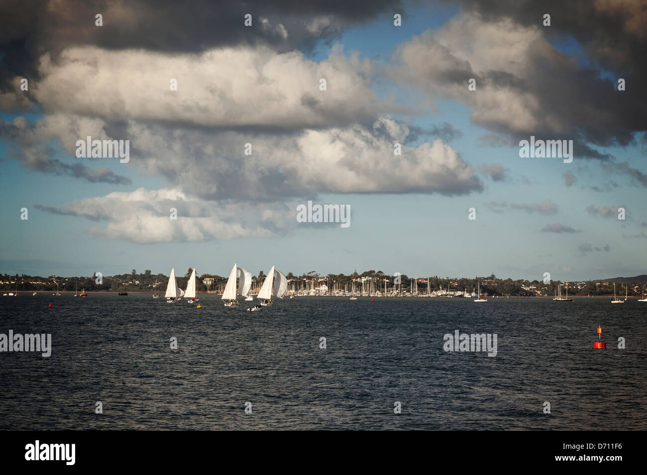 Sailing On Auckland Harbour High Resolution Stock Photography and ...