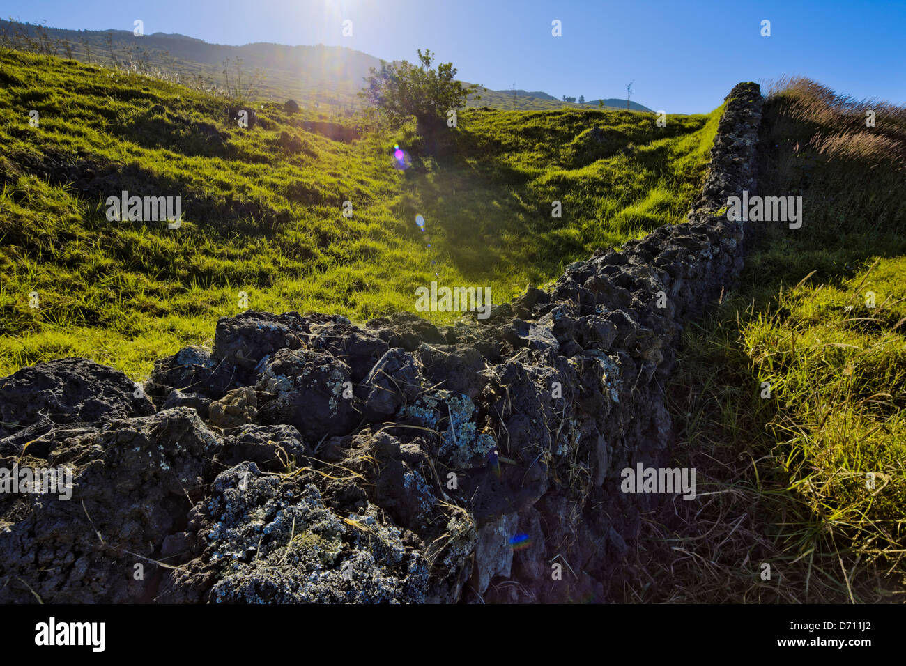 Stone fence and pasture, Maui, Hawaii, USA Stock Photo - Alamy
