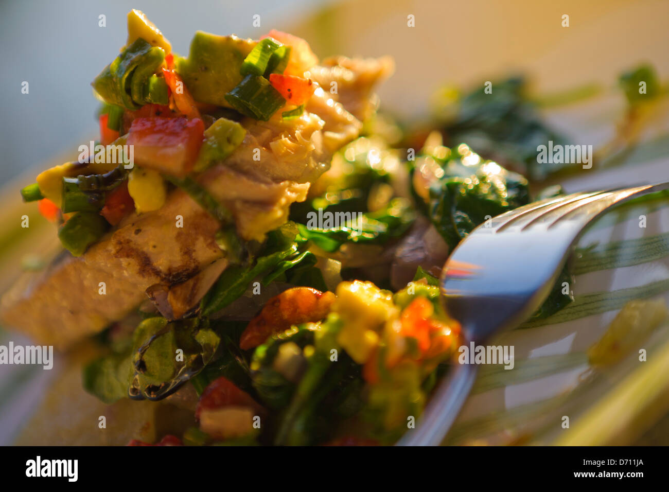 Gourmet fish presentation, Maui, Hawaii, USA Stock Photo - Alamy