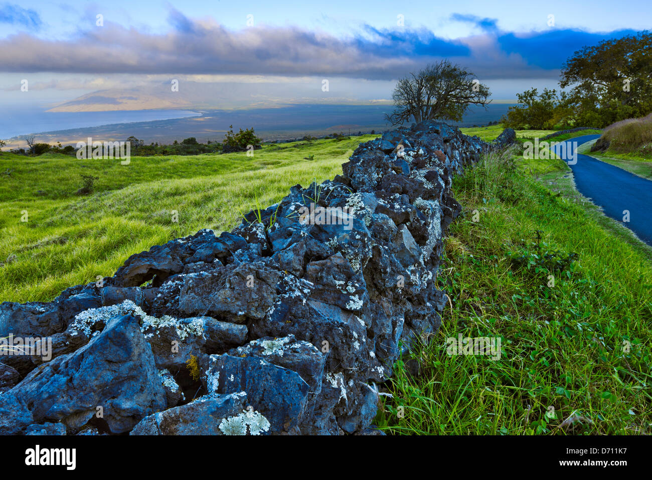 Stone fence and pasture, Maui, Hawaii, USA Stock Photo - Alamy