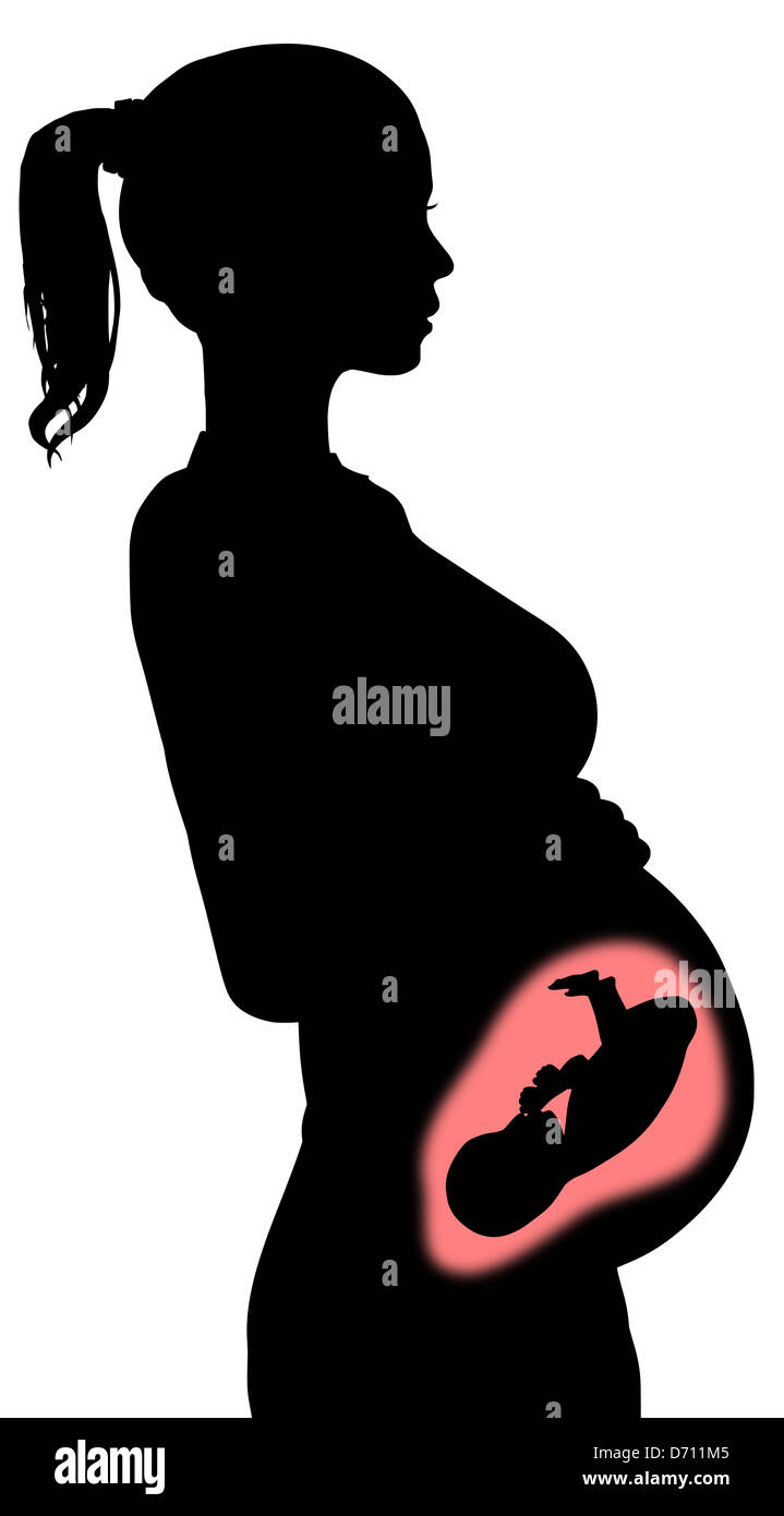 Illustration of pregnant woman showing the baby inside Stock Photo - Alamy