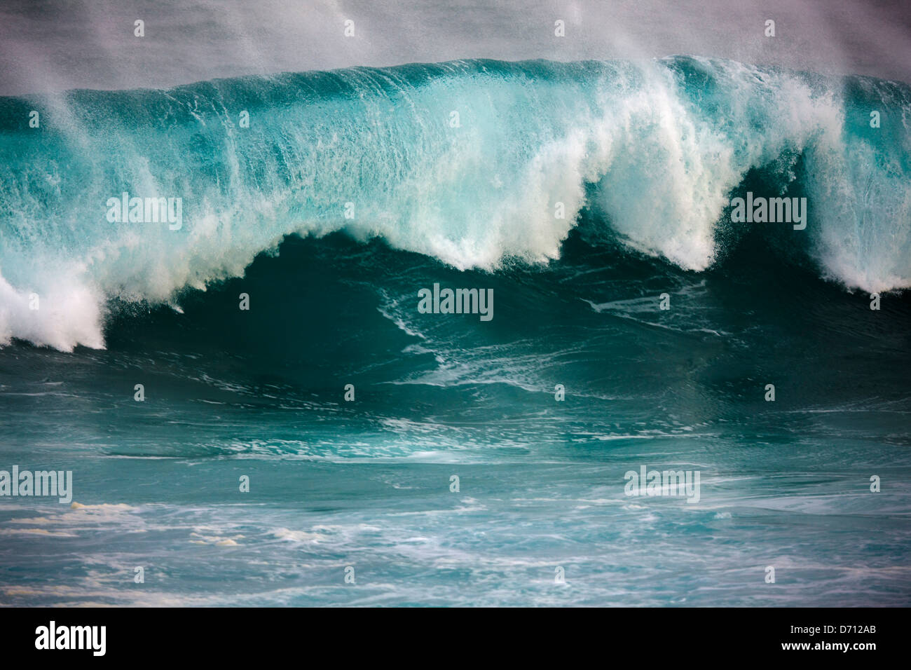 Tidal wave in the ocean, Hookipa Beach, Maui, Hawaii, USA Stock Photo ...