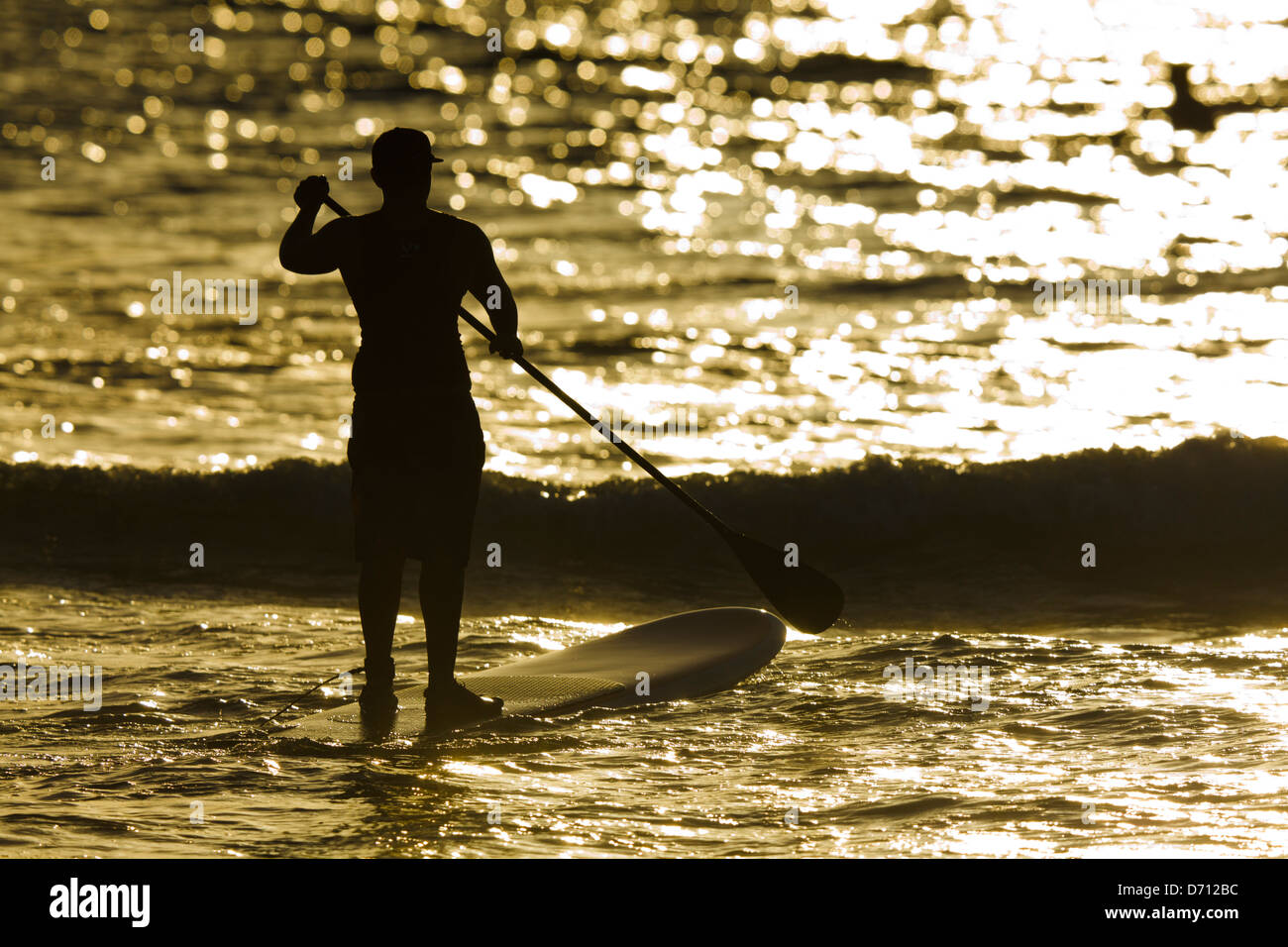 Man paddleboarding in the ocean, Maui, Hawaii, USA Stock Photo - Alamy