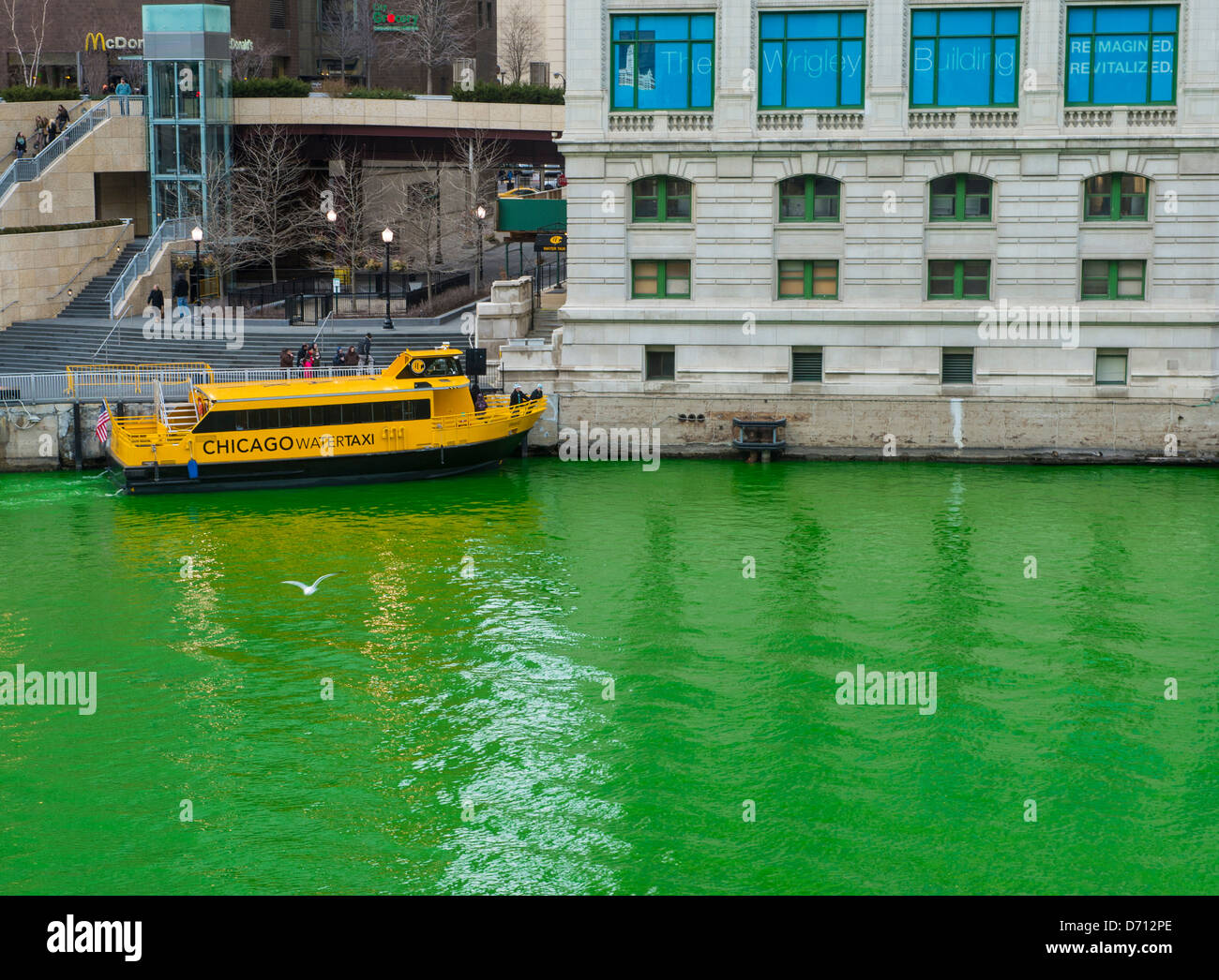 CHICAGO - MARCH 16: The Chicago River is dyed green for St. Patrick's ...