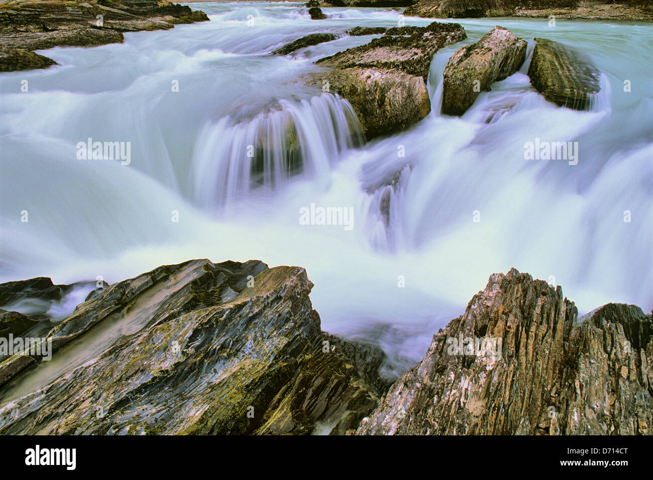British natural park hi-res stock photography and images - Alamy