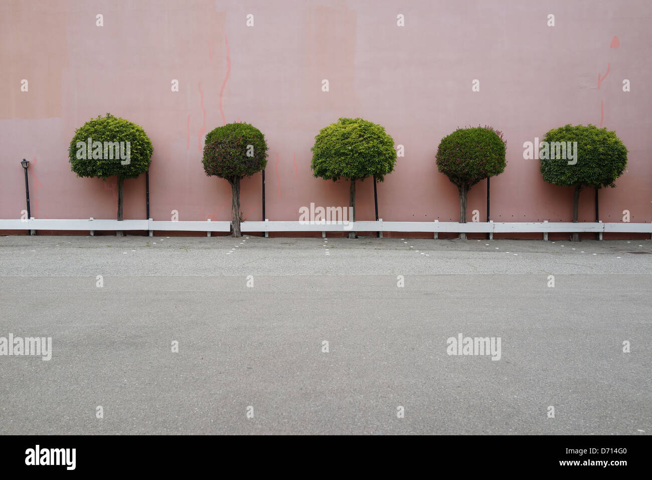 Empty parking tree hi-res stock photography and images - Alamy