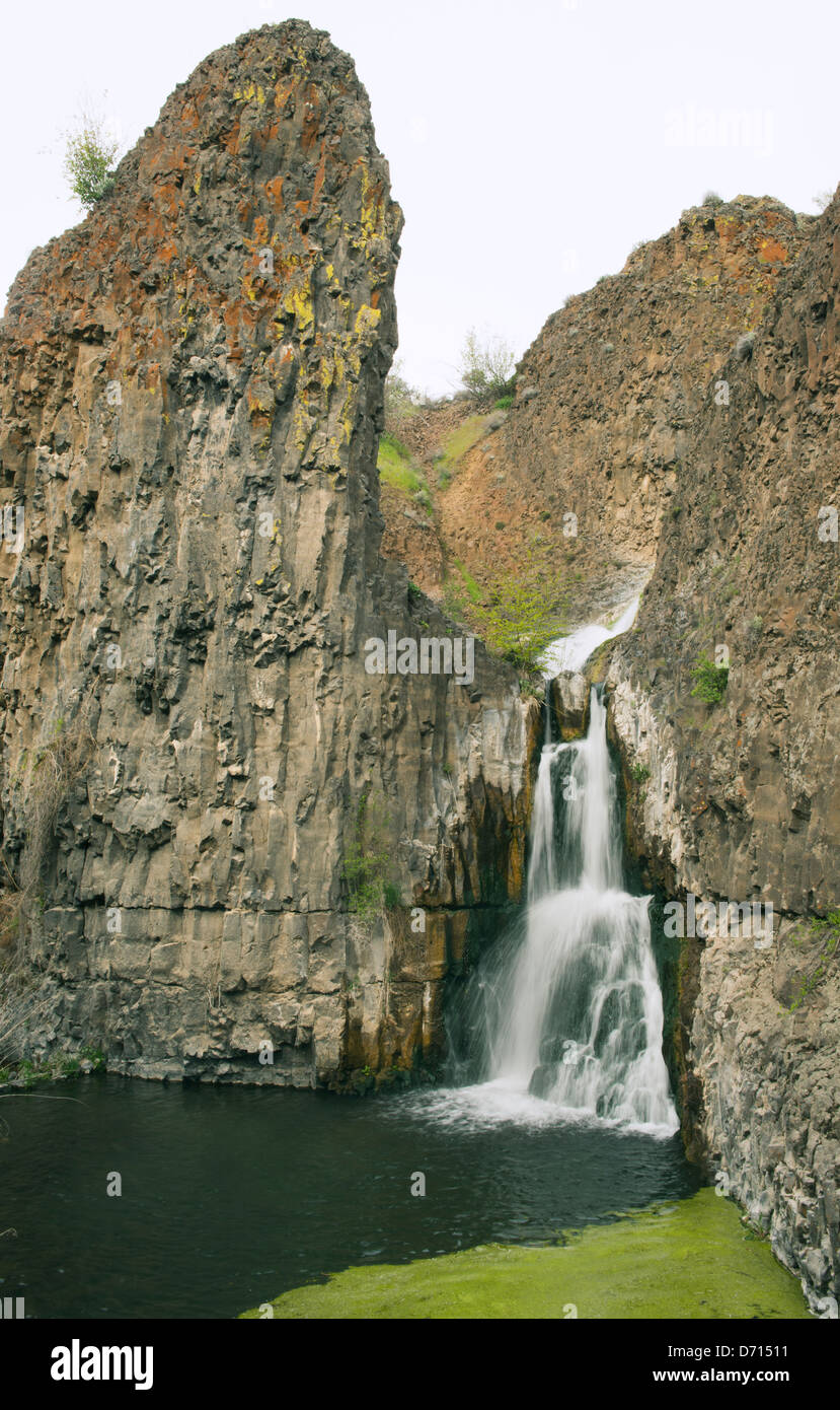 Desert Waterfall, McCartney Creek, Nature Conservancy Preserve, Moses ...