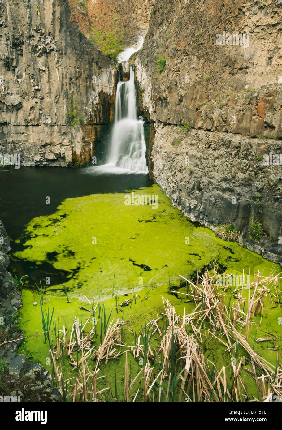 Desert Waterfall, McCartney Creek, Nature Conservancy Preserve, Moses ...
