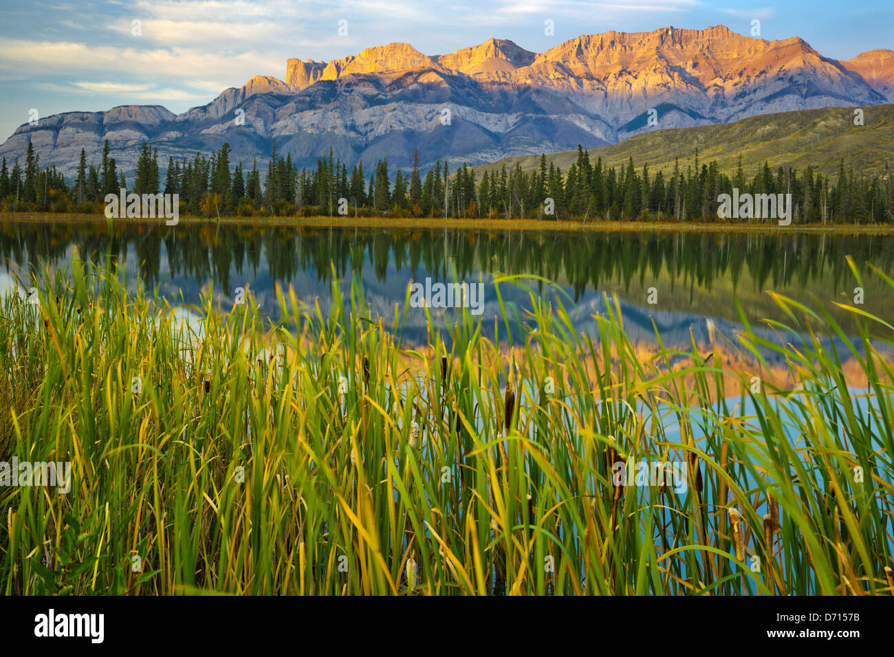 Talbot lake rocky mountains hi-res stock photography and images - Alamy