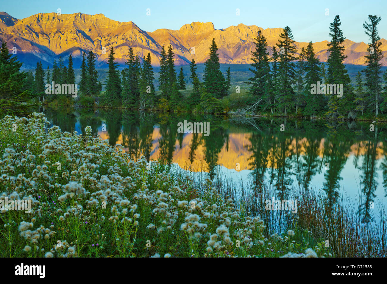 Canada, Alberta, Rocky Mountains, Jasper National Park, Talbot Lake and ...