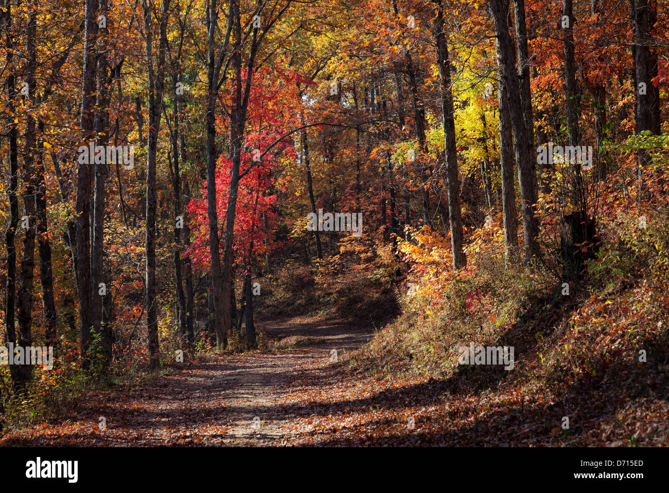 Arkansas change hi-res stock photography and images - Alamy