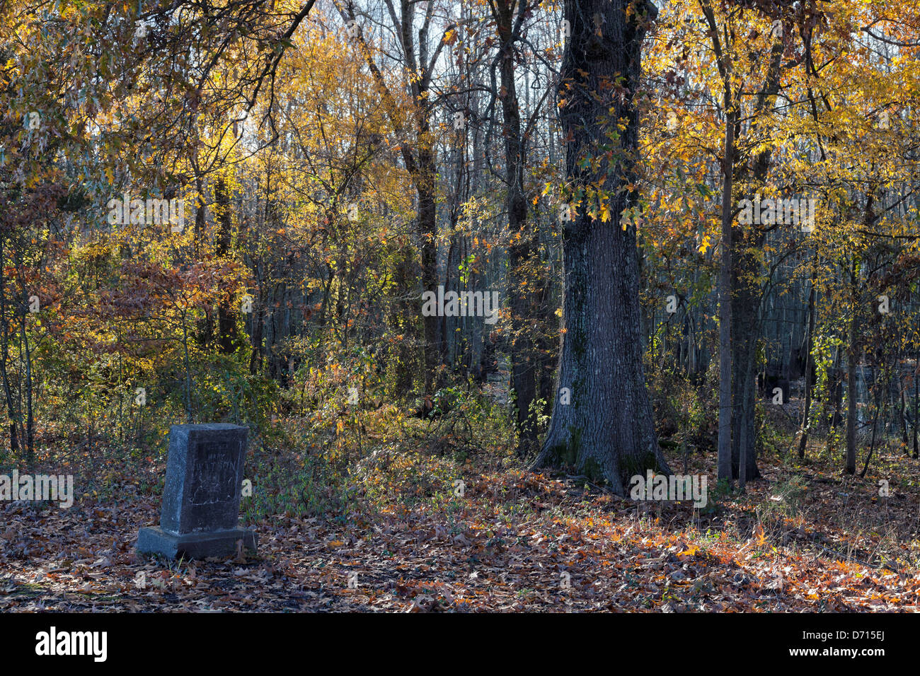 Funeral cypress hi-res stock photography and images - Alamy